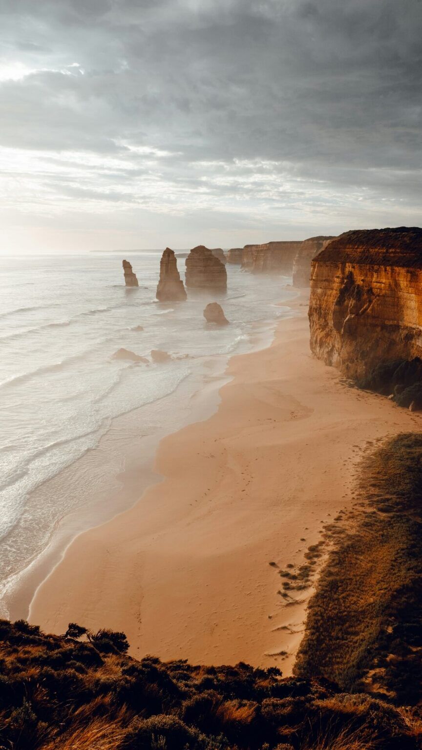 Automated Fish Counting | Australian Regional AI Network